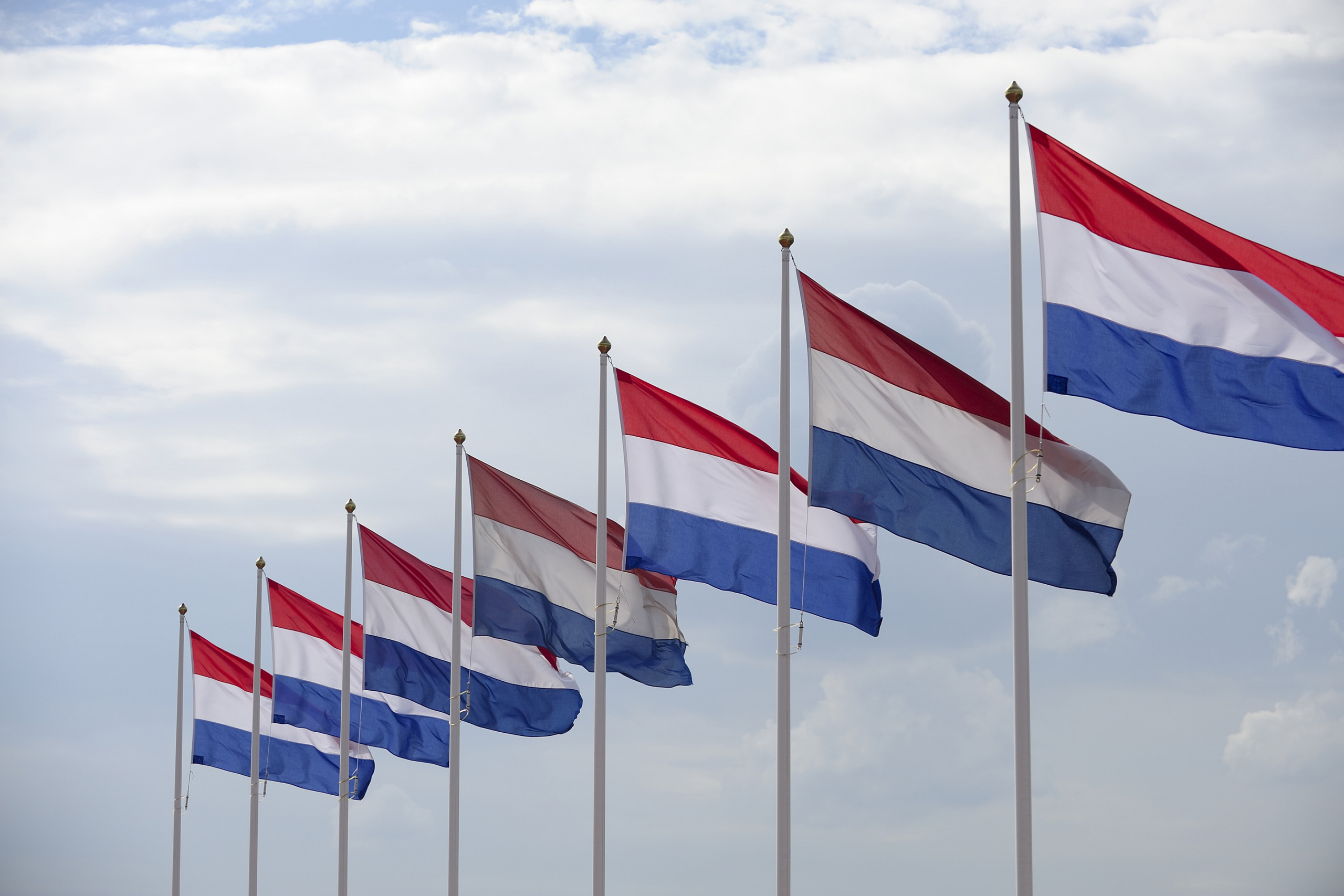 Nederlanse Vlag Kopen, Snel Geleverd & Voordeligste Prijs