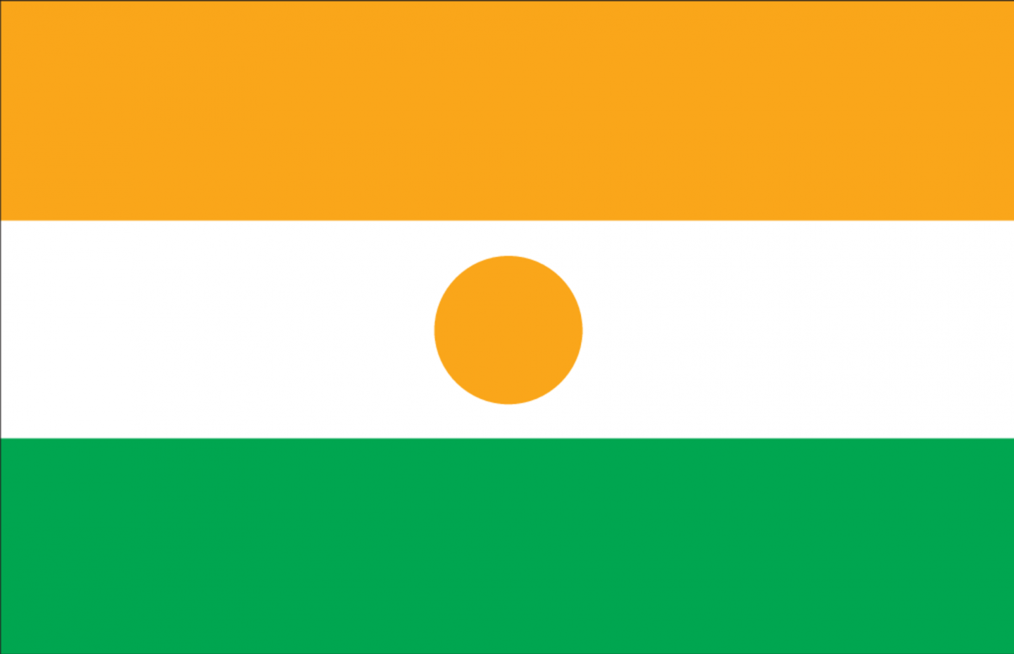 Vlag Niger | Holland Vlaggen