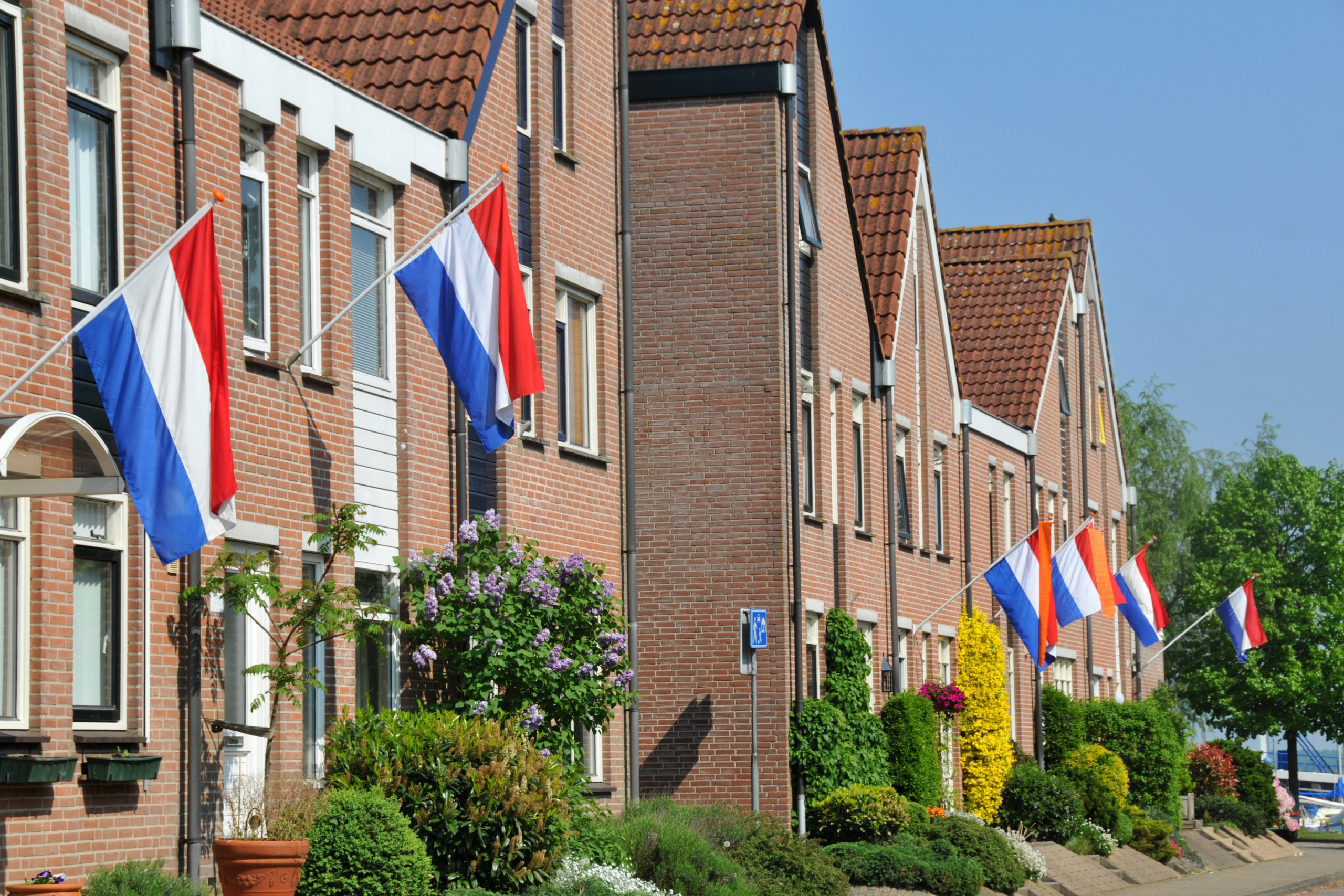 Dit is het juiste formaat vlag voor een vlaggenstok | Holland Vlaggen